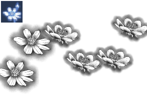 Gregarious Flower/Chocolate Cosmos - CLIP STUDIO ASSETS