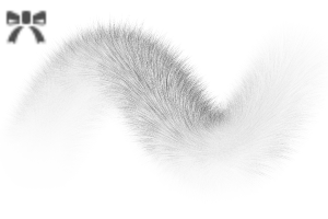 Two fur brushes - CLIP STUDIO ASSETS